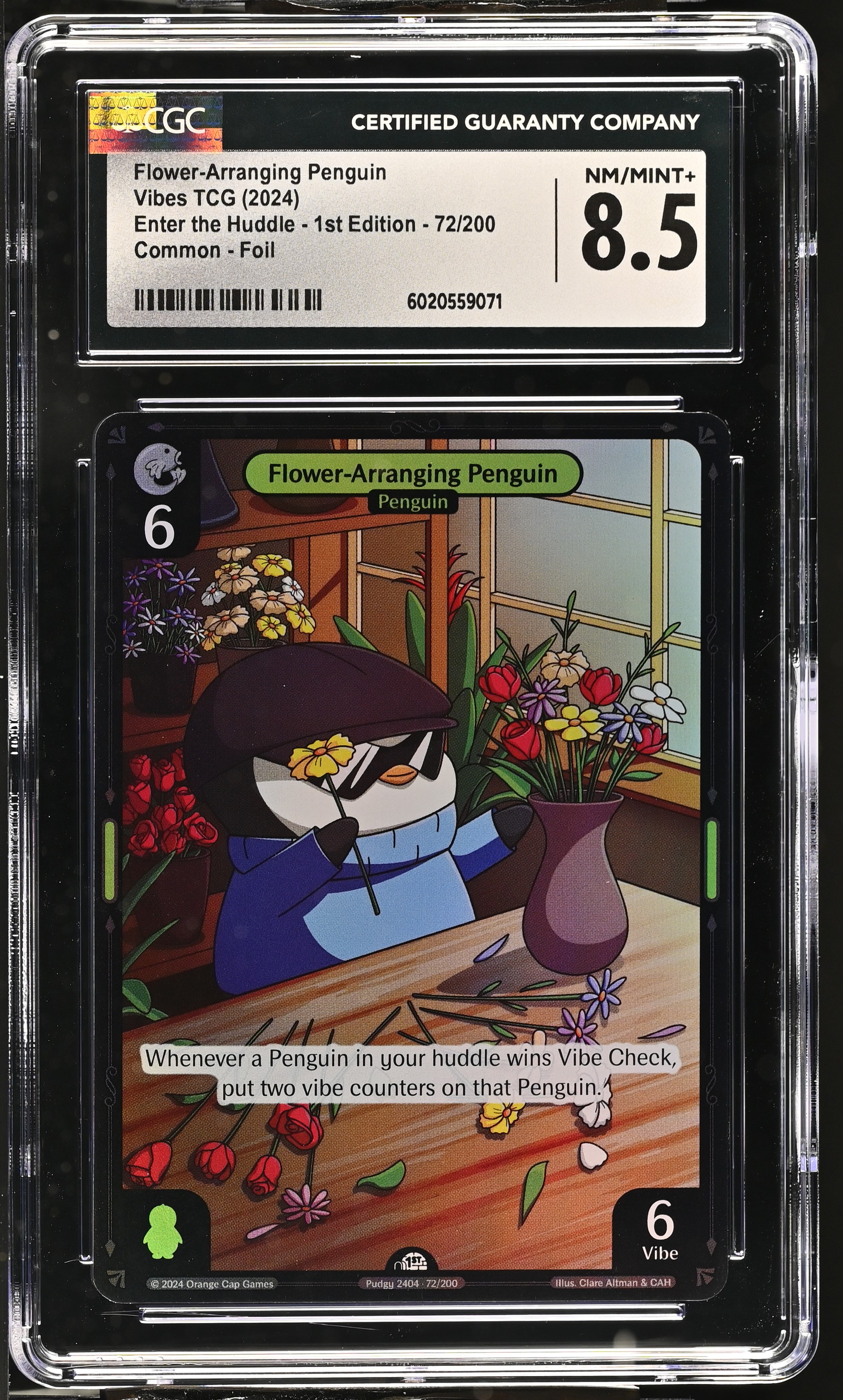 SegMint | Own the World's Best Collectibles